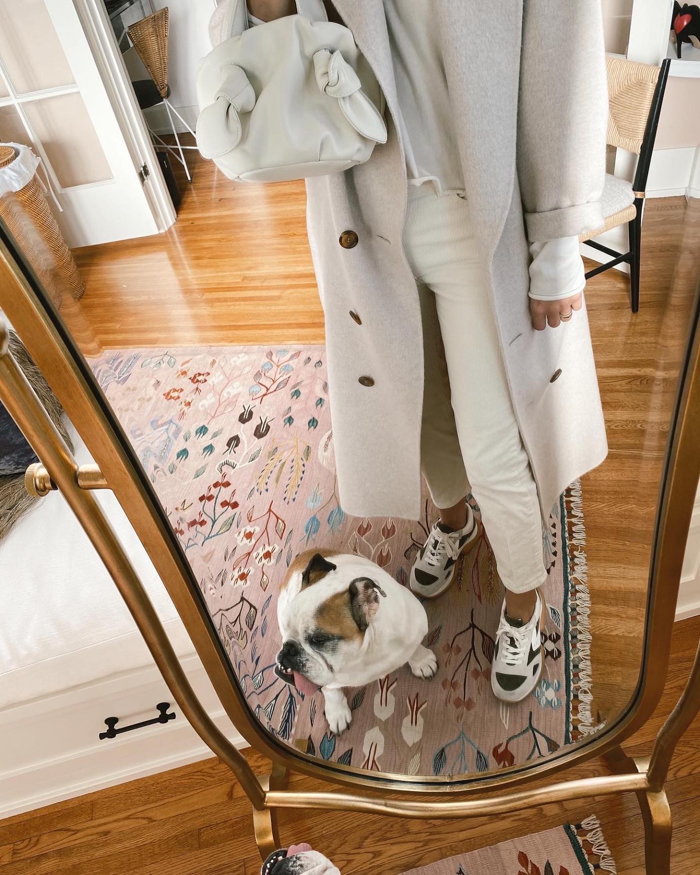 If Dogs Could Talk - Damsel In Dior